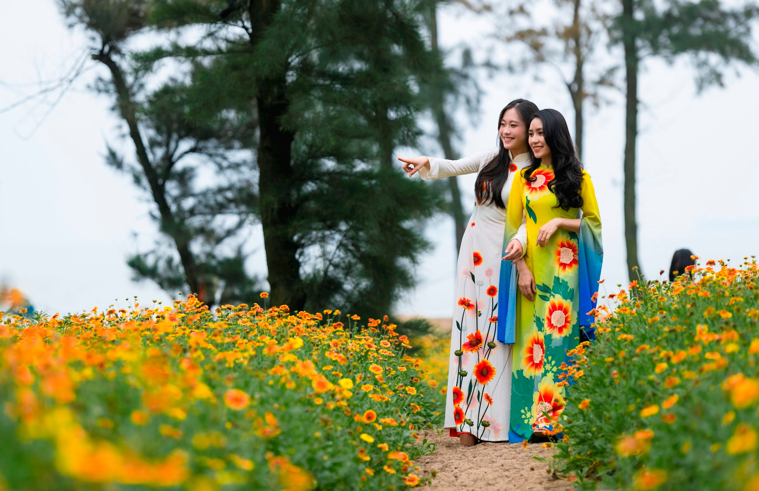 Làm gì để hoa cúc biển mãi là biểu trưng du lịch biển Cửa Lò? - Trang ...